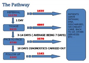 Stockport PCT – Understanding Demand/Capacity and Waiting Times ...